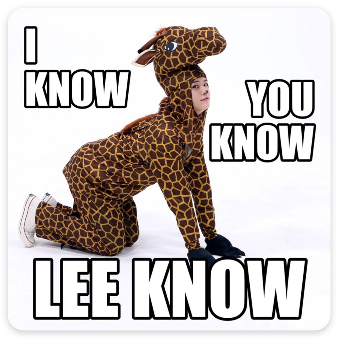 Stray Kids Lee Know Meme Stickers - Etsy