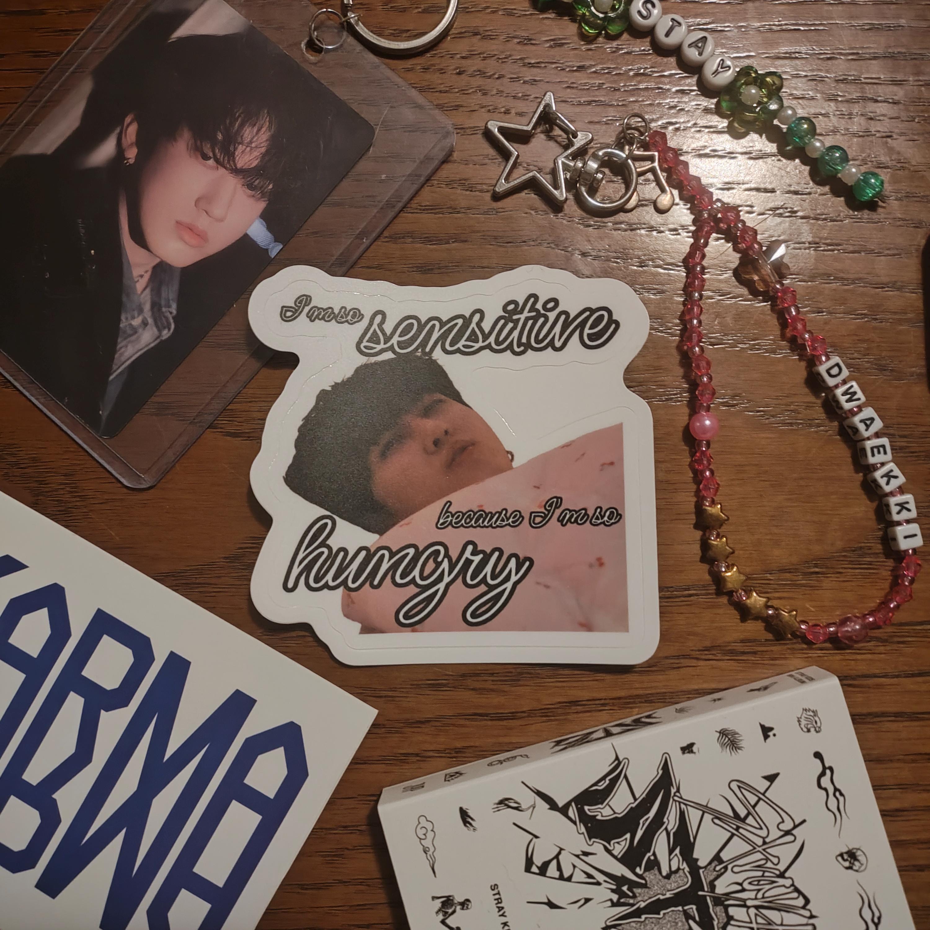 Stray Kids Changbin Meme Stickers - Etsy