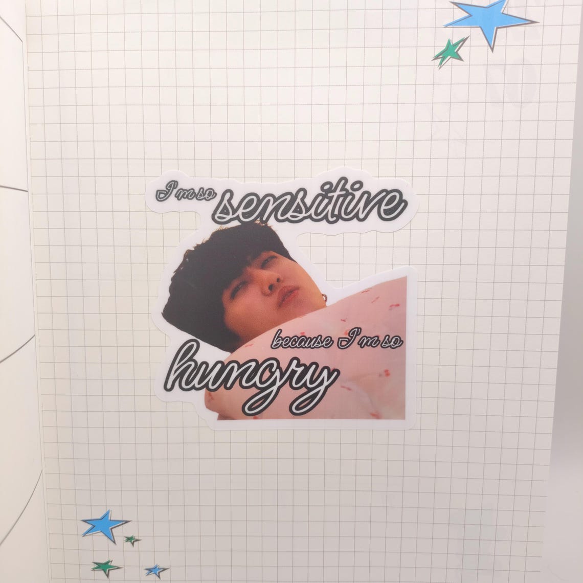 Stray Kids Changbin Meme Stickers - Etsy