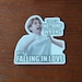 Stray Kids Han Meme Stickers - Etsy
