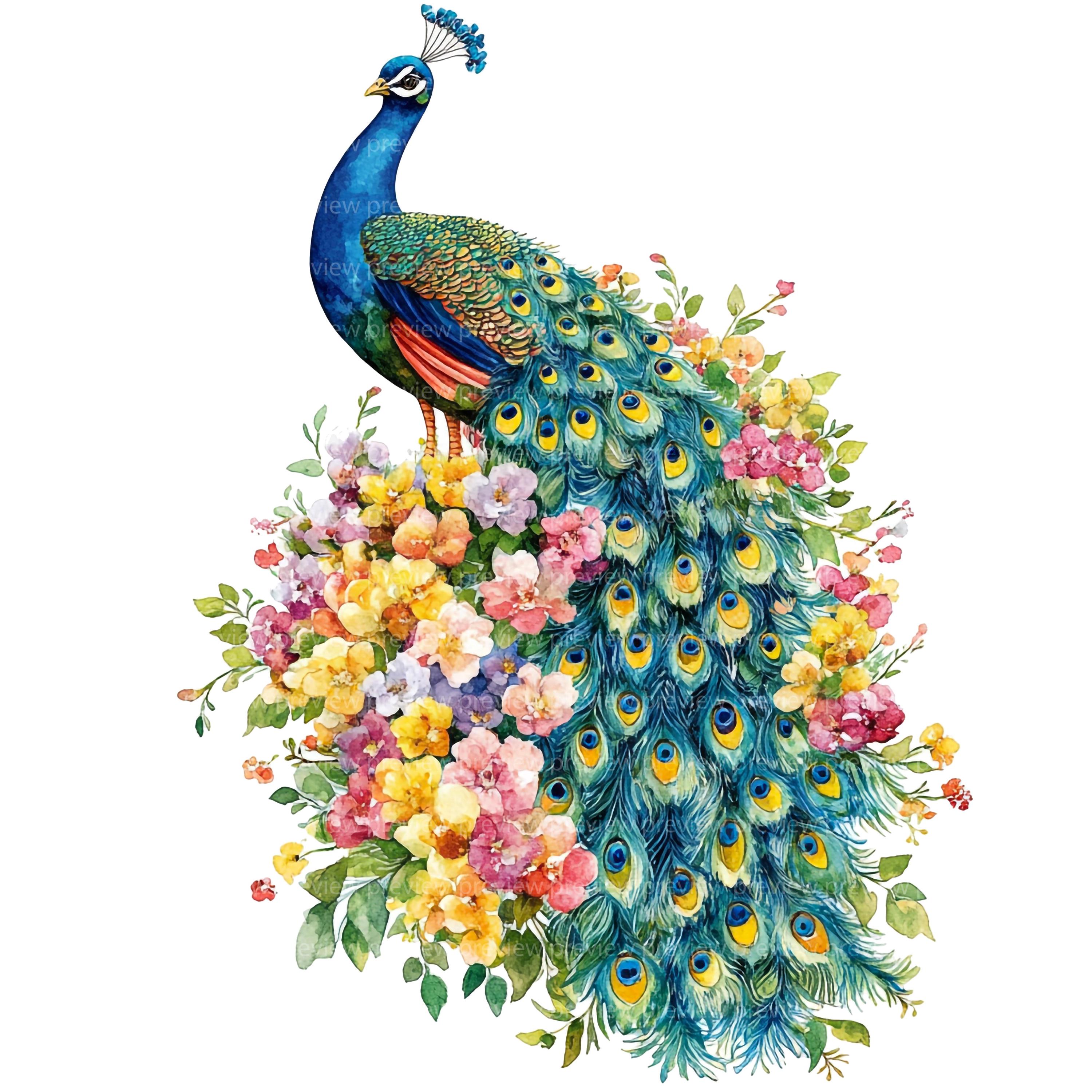 12 Floral Peacock Clipart JPG | Exotic Bird Watercolor Art | Botanical ...