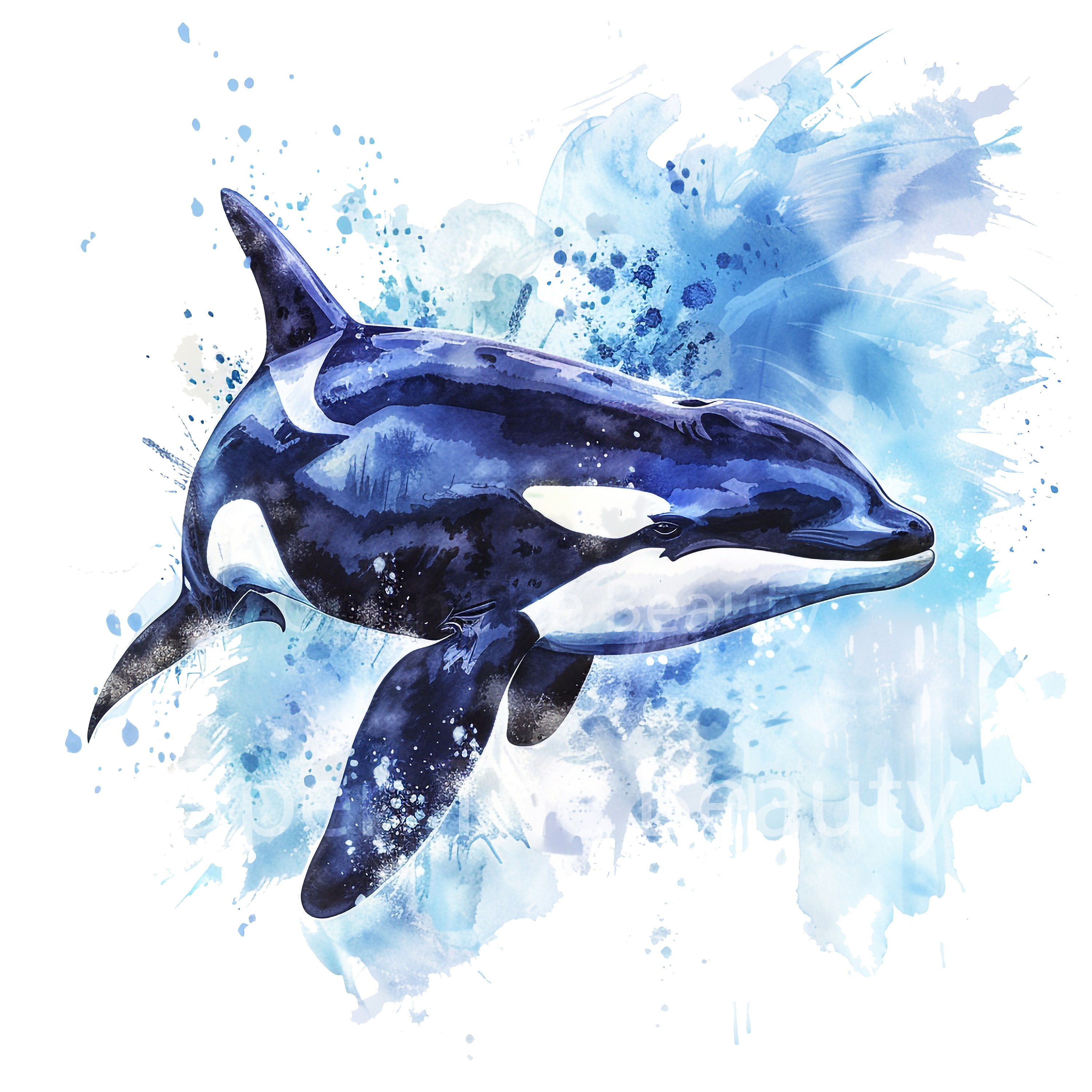 13 Killer Whale Clipart | Orca Ocean Watercolor Art | Majestic Marine ...