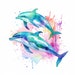 12 Playful Dolphins Clipart, Watercolor Dolphins, Animals Clipart, High ...