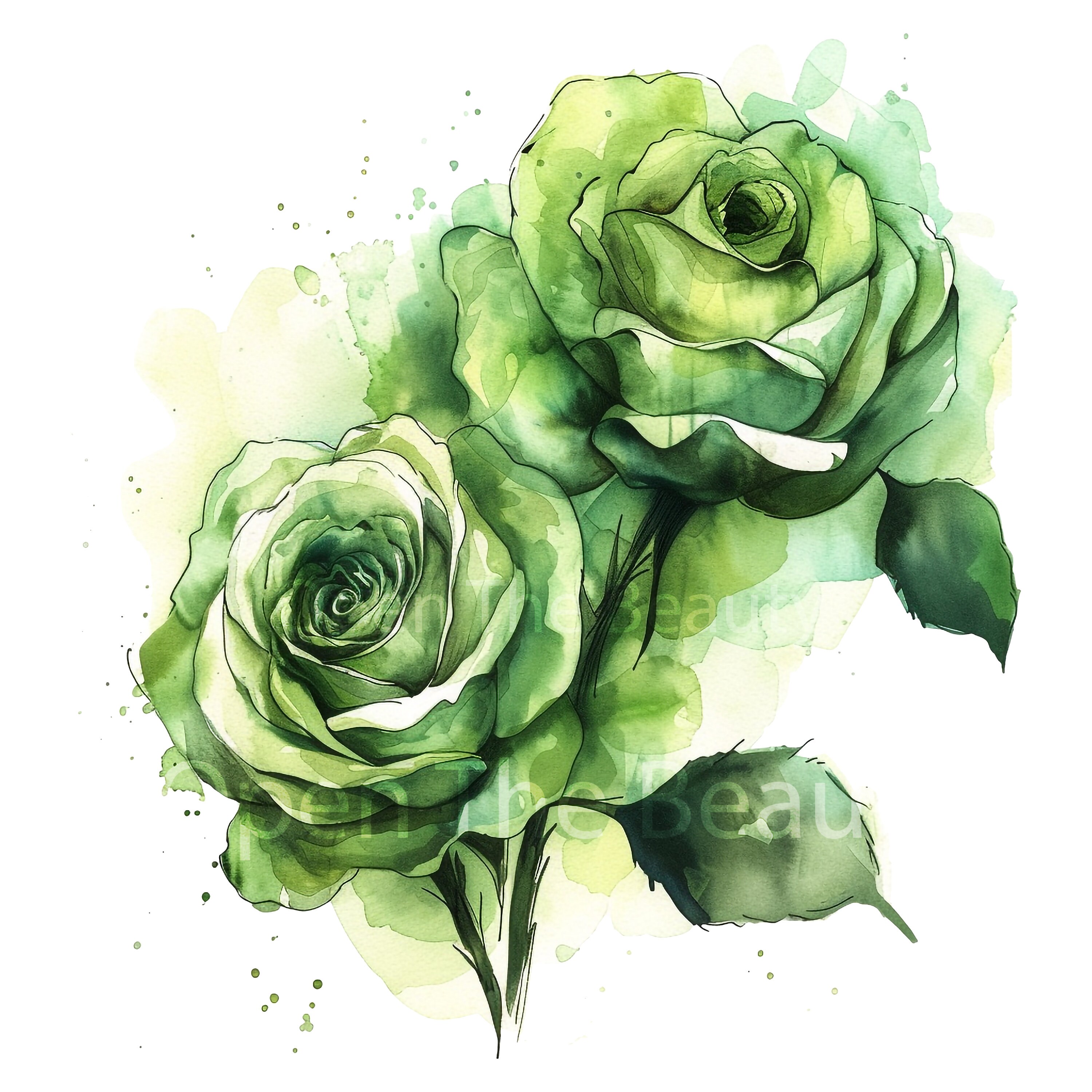 Green Roses Watercolor Clipart Green Roses Clipart Flowers Clipart ...