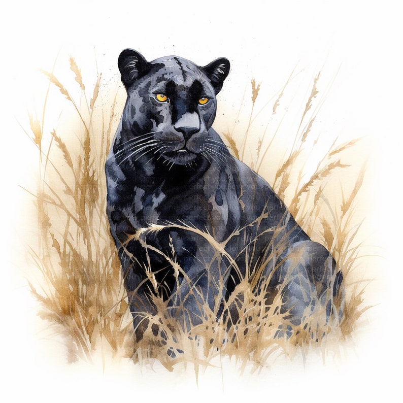 12 Black Panther Clipart, Watercolor Black Panther, High Resolution ...