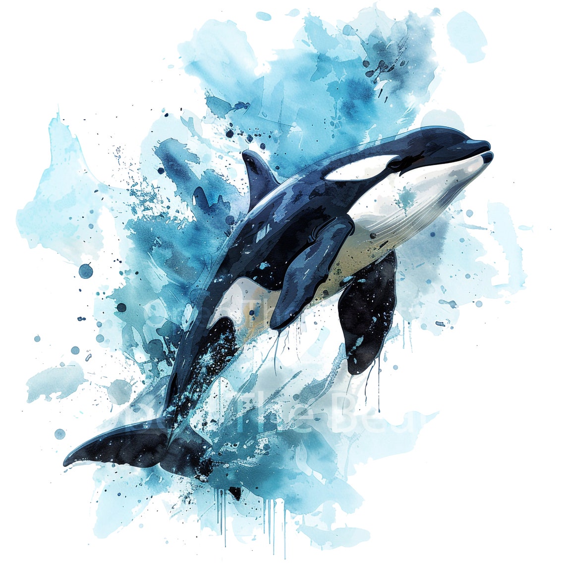 13 Killer Whale Clipart | Orca Ocean Watercolor Art | Majestic Marine ...
