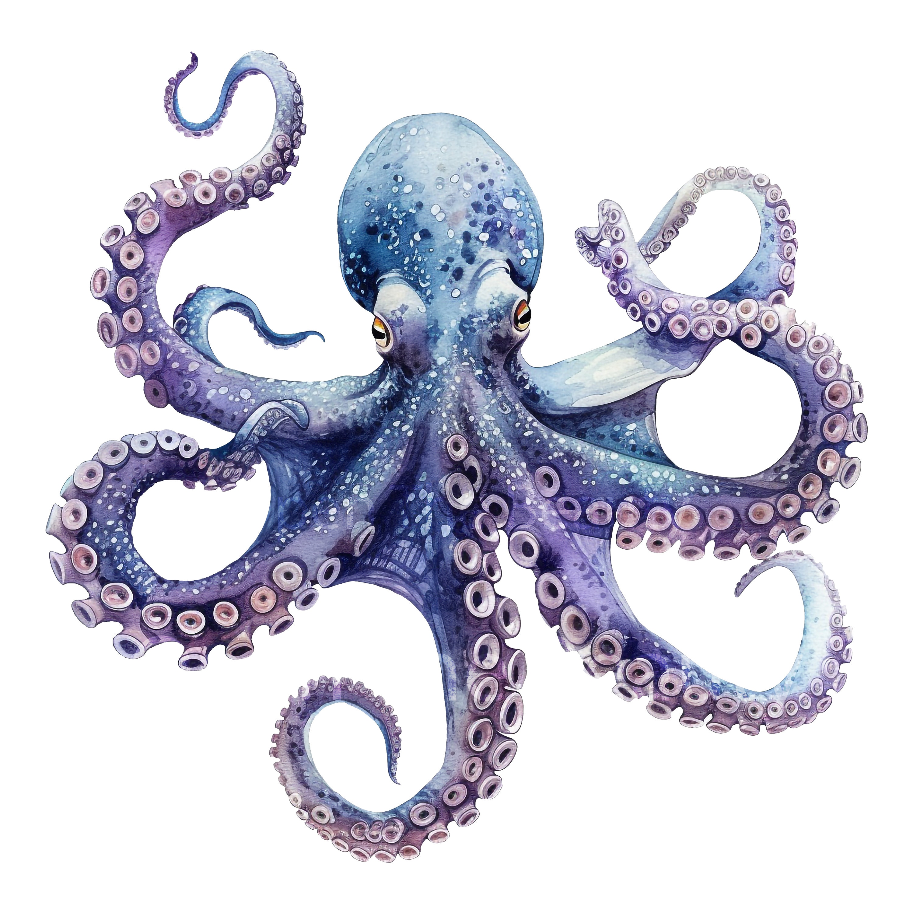 12 Watercolor Octopus Clipart | Ocean Animal Art (jpgs, Commercial Use ...