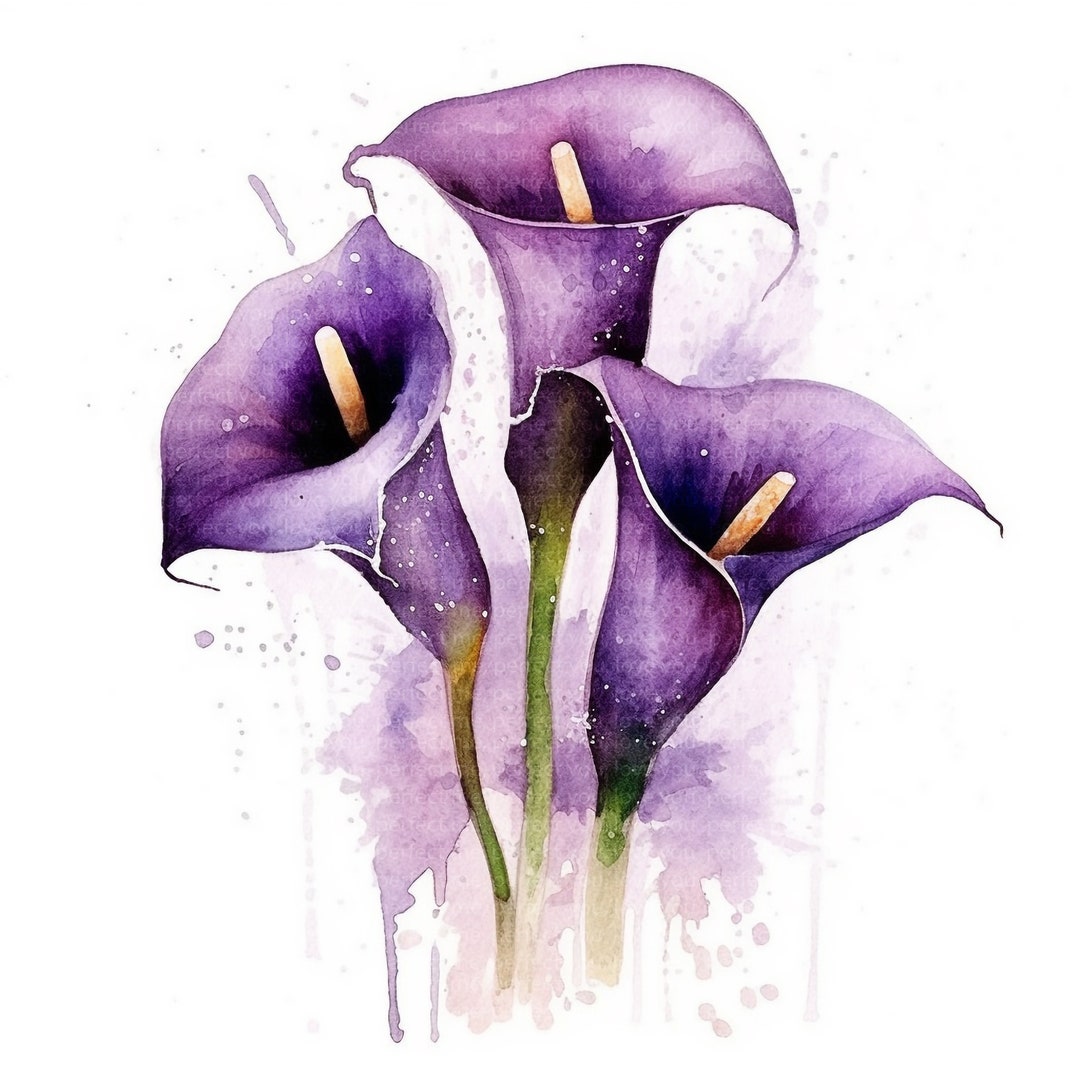 12 Purple Calla Lily Clipart, Calla Lily Bouquet, Flowers Clipart, High ...