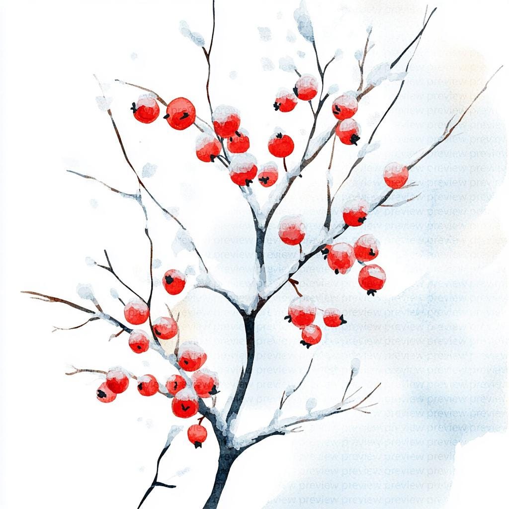 Watercolor Frozen Berries Clipart | 14 High Resolution Jpgs for Winter ...
