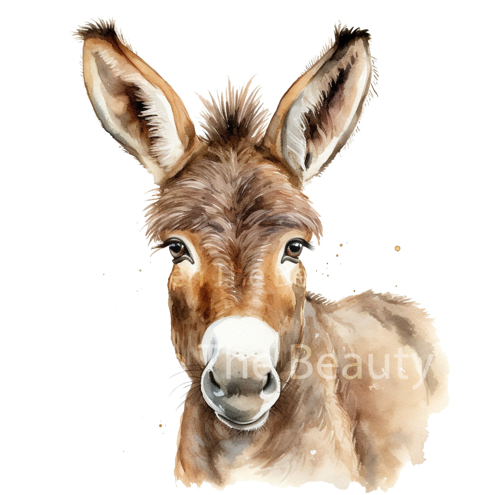 13 Donkey Clipart | Farm Animal Watercolor Art | Rustic Livestock ...