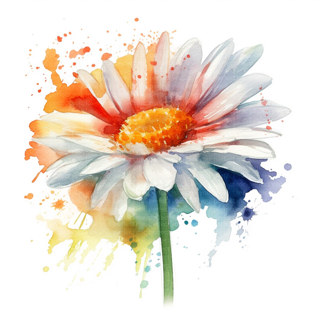 Watercolor Daisy Flower Clipart | 12 High-res Jpgs for Digital Planner ...