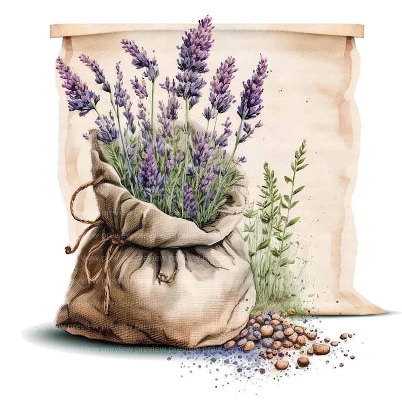 13 Lavender Bouquet Clipart | French Provence Floral Art | Rustic ...