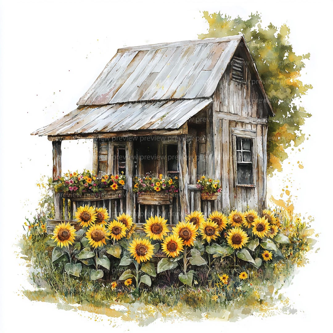 12 Sunflower Cottage Clipart, Old Hut With Sunflowers Watercolor ...