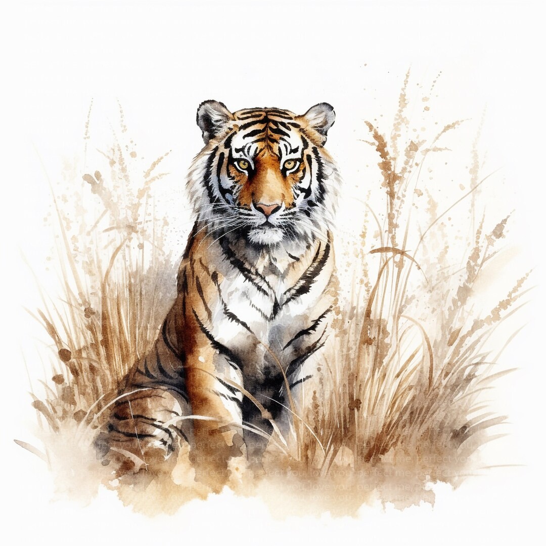 Whimsical Tiger Clipart Collection | 12 Unique Watercolor Images for ...
