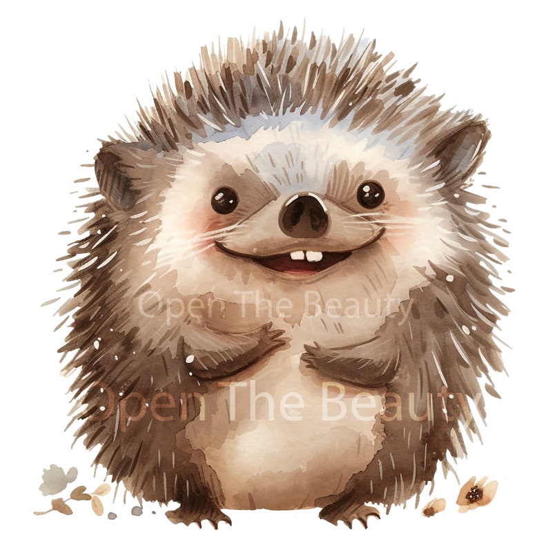 Hedgehog Watercolor Clipart Hedgehog Clipart Cute Hedgehog Clipart ...