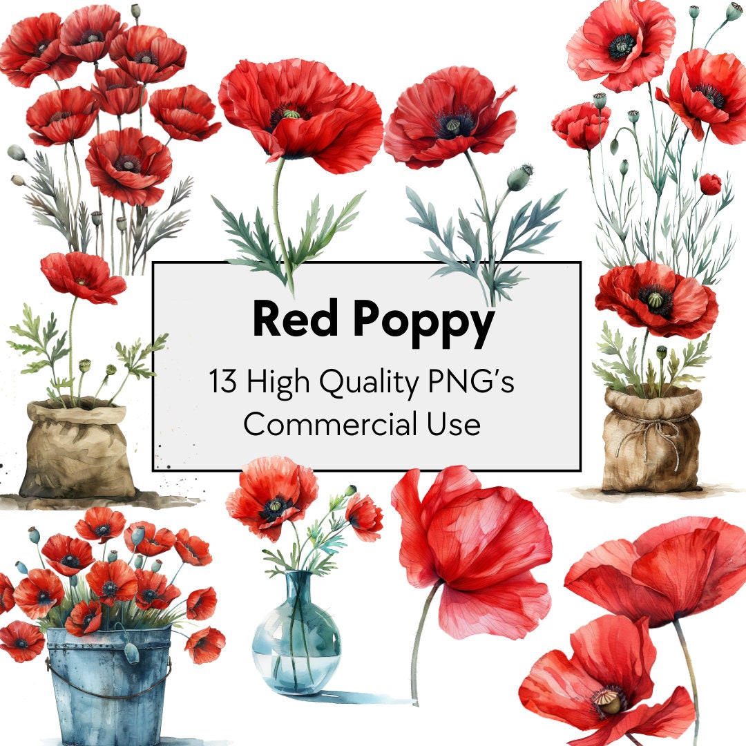 Red Poppy Watercolor Clipart Red Poppy Clipart Flowers Clipart Red ...
