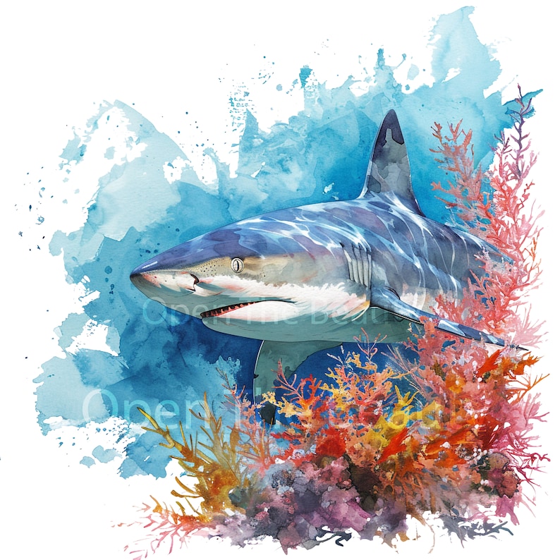 Watercolor Shark Clipart | 12 High Quality Pngs for Ocean Wall Art ...