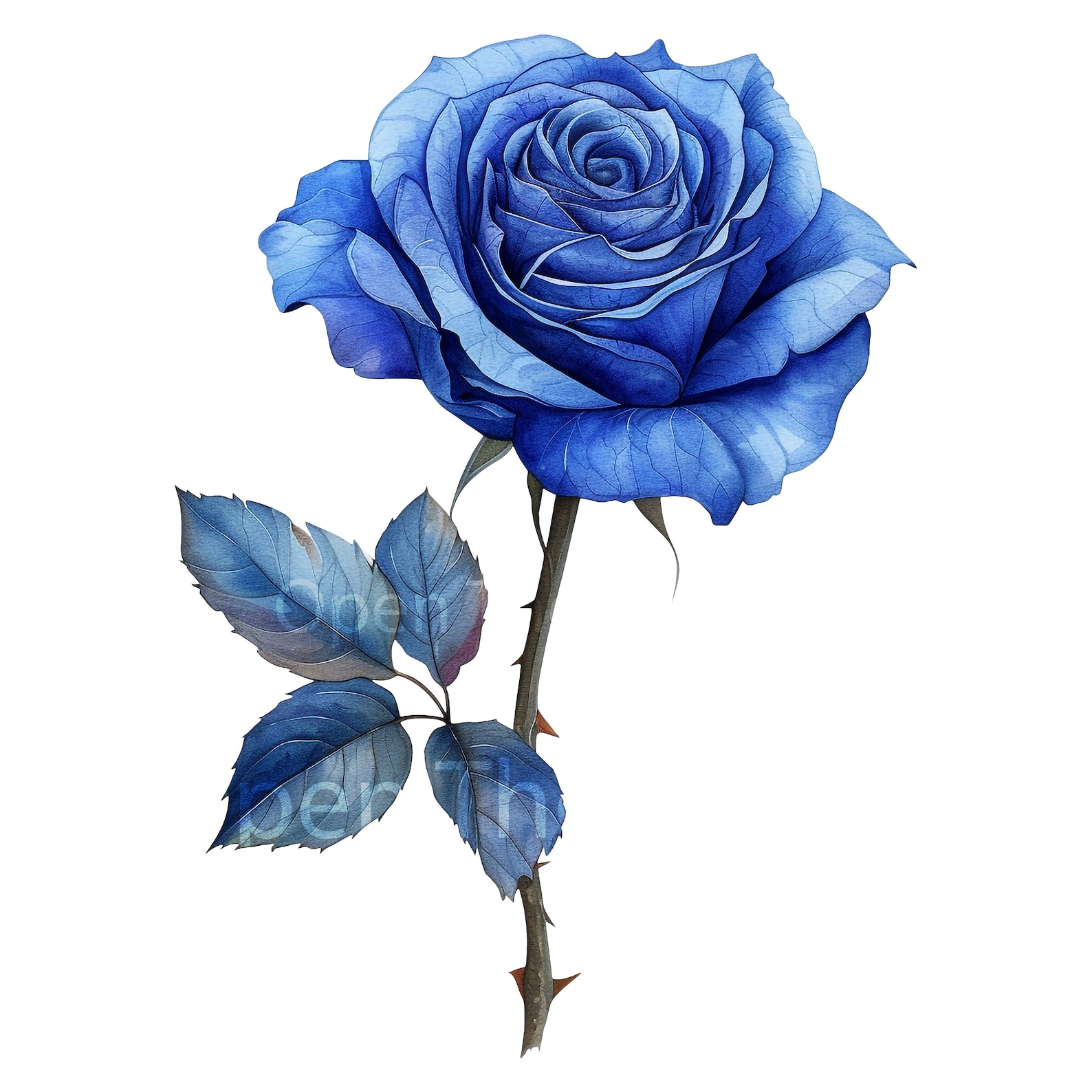 Blue Roses Watercolor Clipart Blue Roses Clipart Flowers Clipart Blue ...