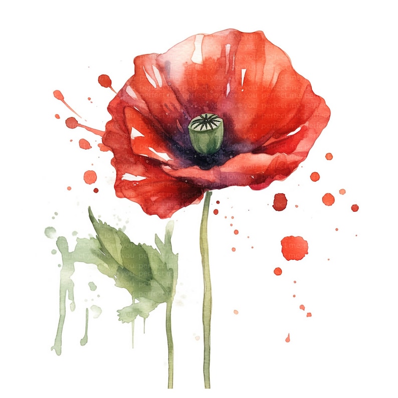 12 Red Poppy Clipart, Red Poppy Bouquet, Printable Red Poppy, High ...