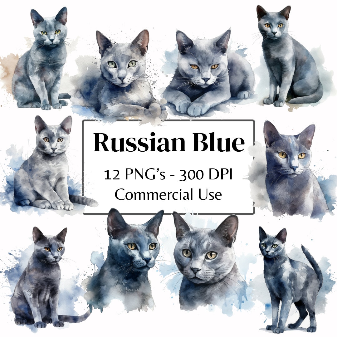 Russian Blue Watercolor Clipart Russian Blue Clipart Cat Clipart ...