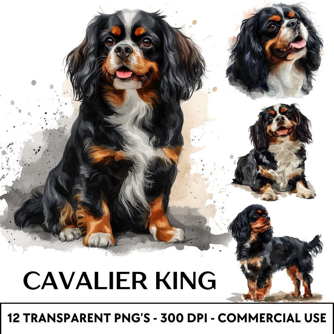 Cavalier King Watercolor Clipart Cavalier King Clipart Dogs Clipart ...