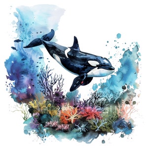 13 Killer Whale Clipart | Orca Ocean Watercolor Art | Majestic Marine ...