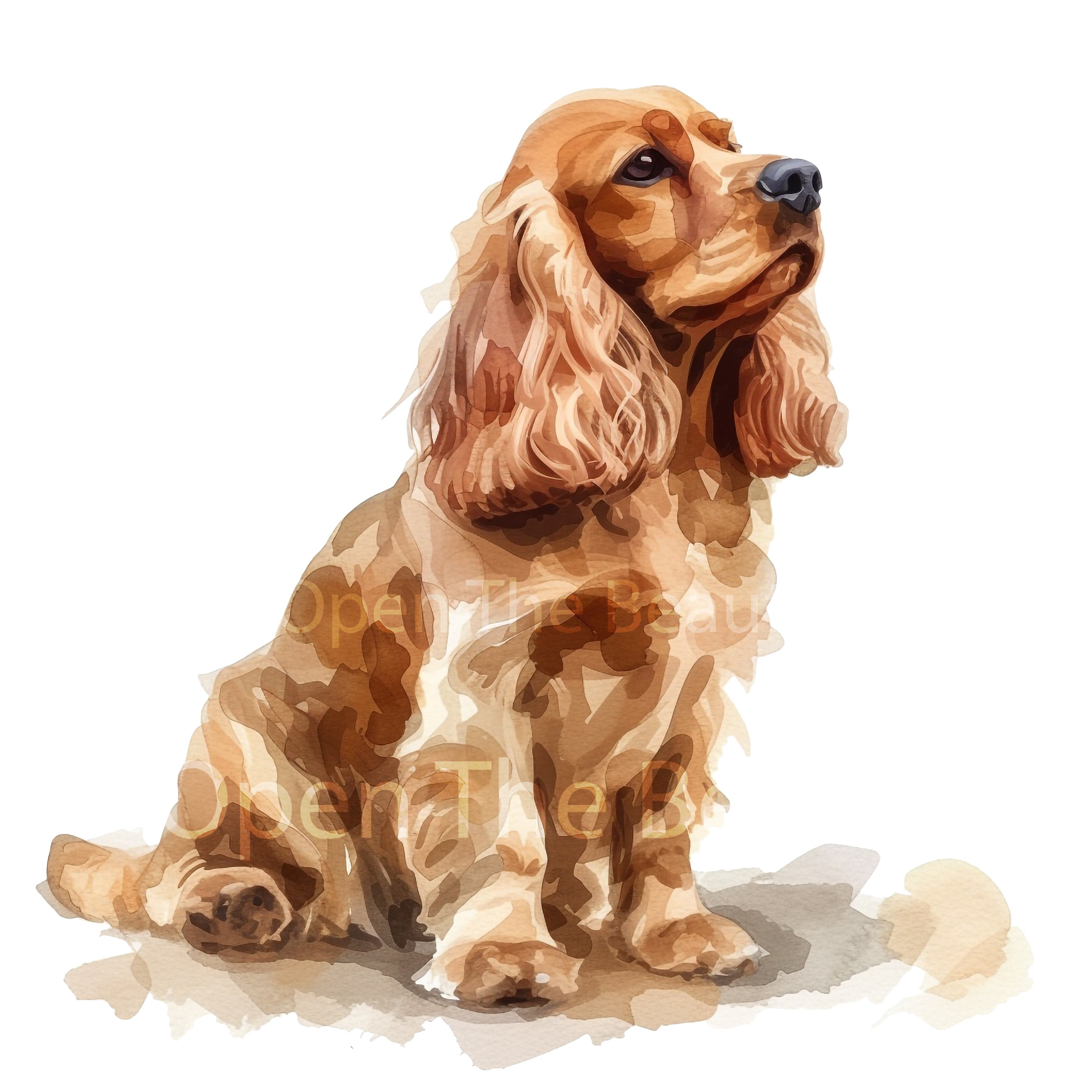 Cocker Spaniel Watercolor Clipart Cocker Spaniel Clipart Dogs Clipart ...