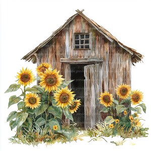 12 Sunflower Cottage Clipart, Old Hut With Sunflowers Watercolor ...