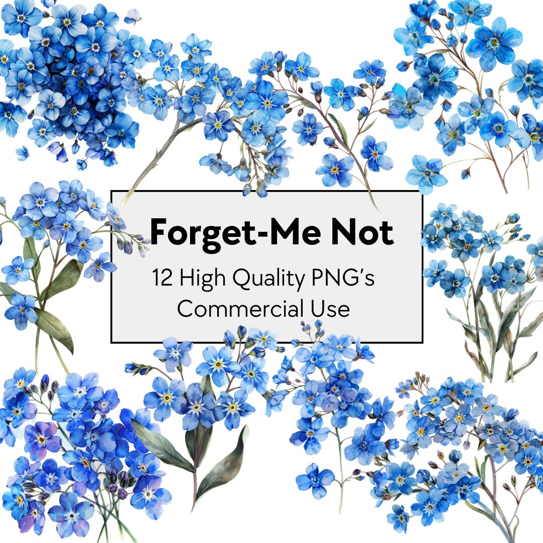 Blue Forget-me-not Watercolor Clipart: Floral Art (pngs, Digital ...