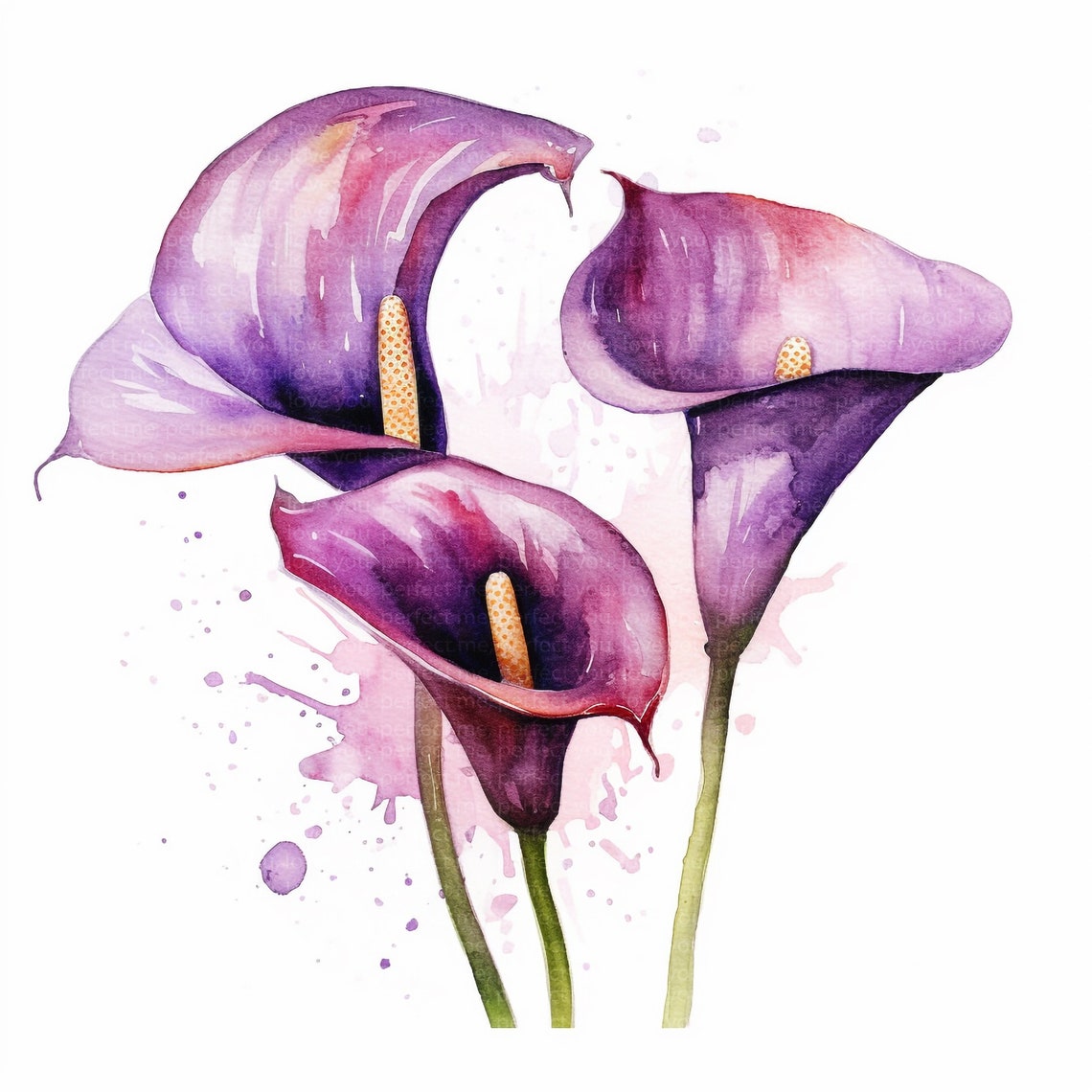 12 Purple Calla Lily Clipart, Calla Lily Bouquet, Flowers Clipart, High ...