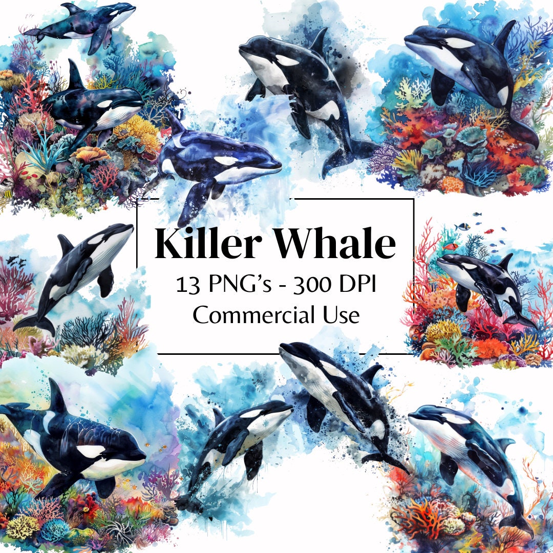 13 Killer Whale Clipart | Orca Ocean Watercolor Art | Majestic Marine ...