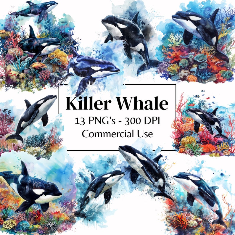 Watercolor Killer Whale Clipart Ocean Clipart | PNG 300 DPI | Digital ...