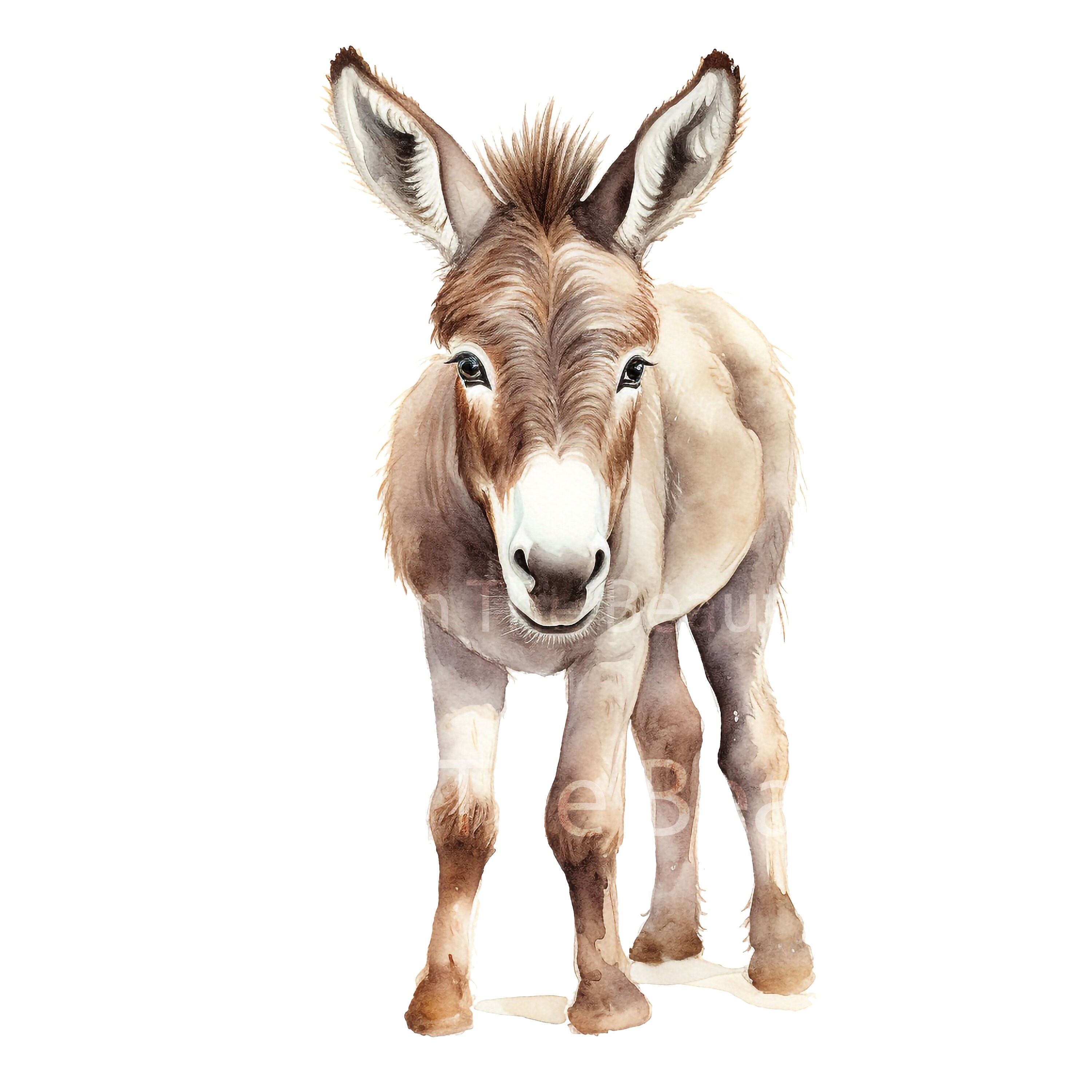13 Donkey Clipart | Farm Animal Watercolor Art | Rustic Livestock ...