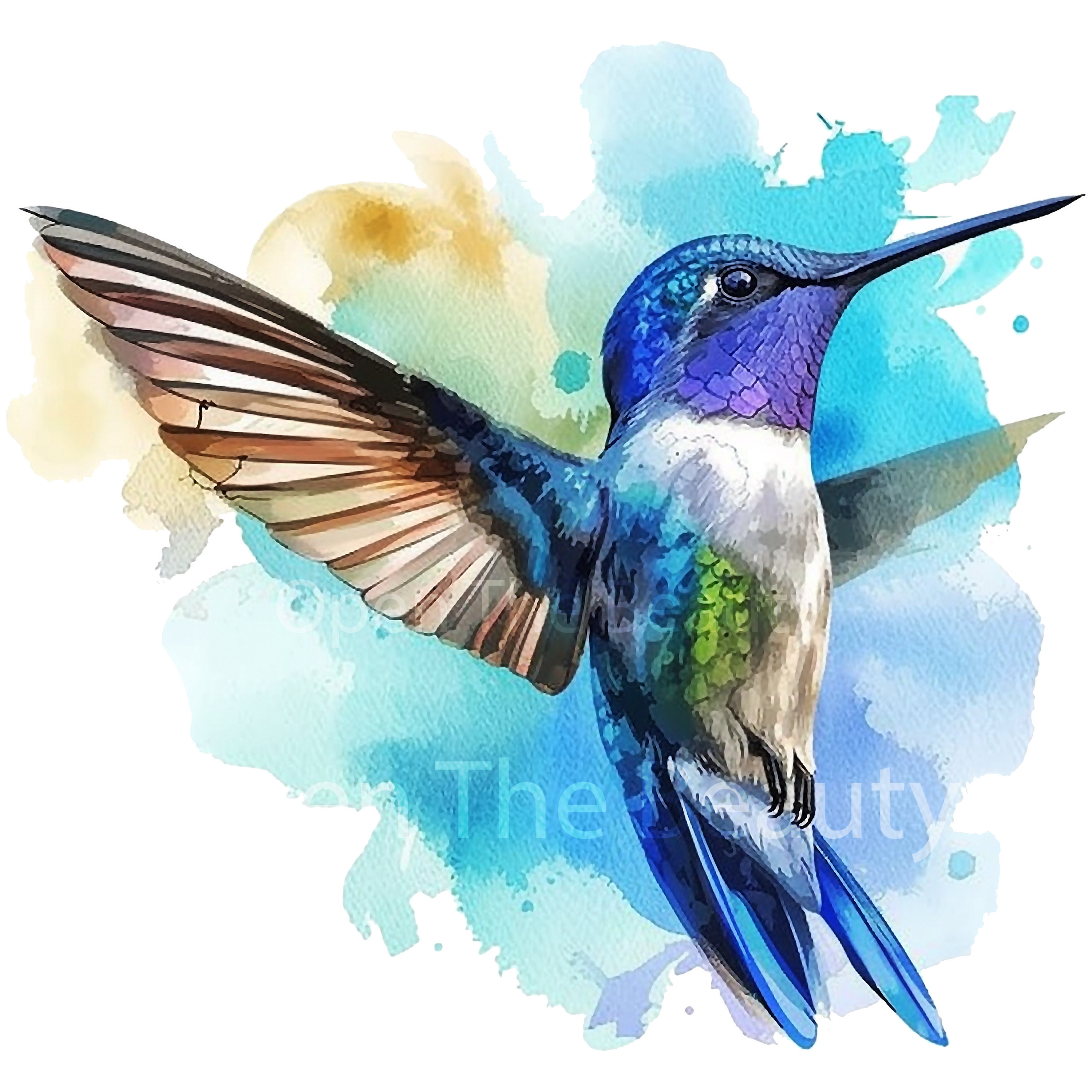Hummingbird Watercolor Clipart Hummingbird Clipart Bird Clipart ...