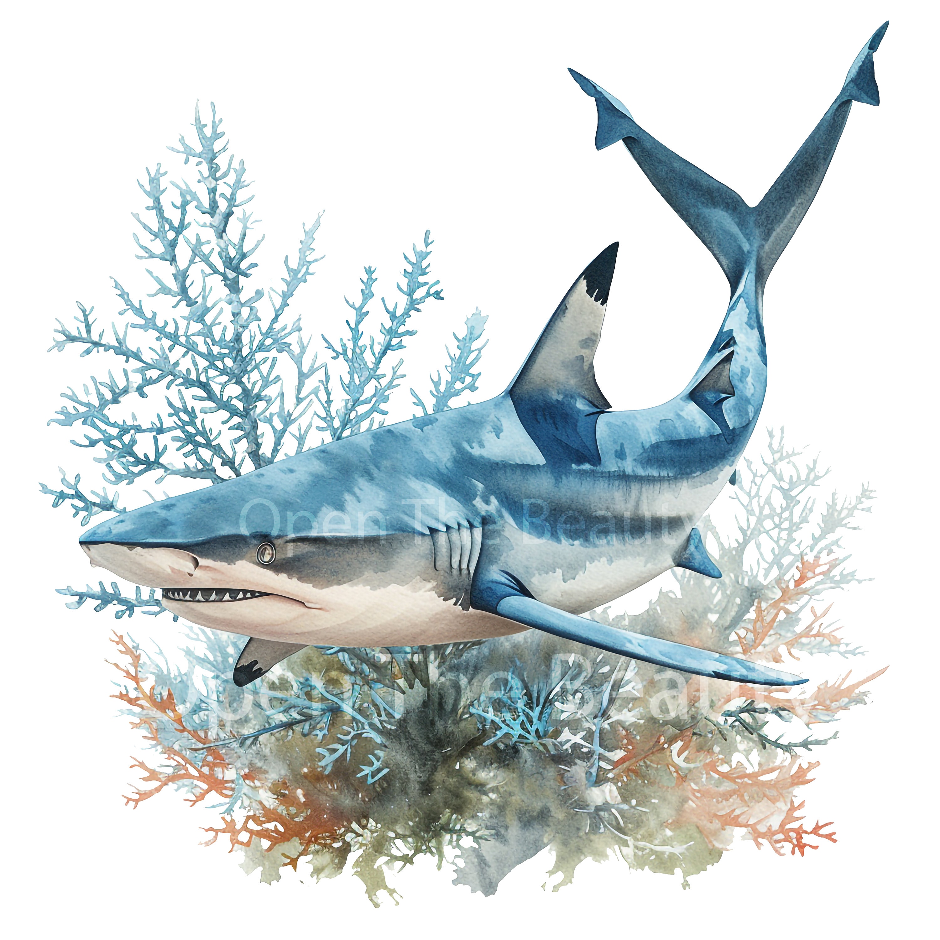 Shark Watercolor Clipart Shark Clipart Ocean Clipart Shark PNG 300 DPI ...