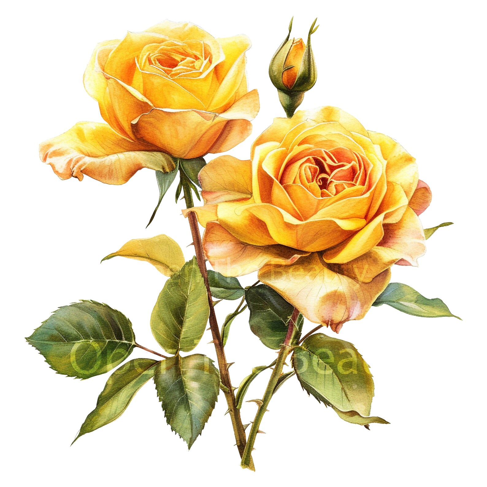 Yellow Roses Watercolor Clipart Yellow Roses Clipart Flowers Clipart ...
