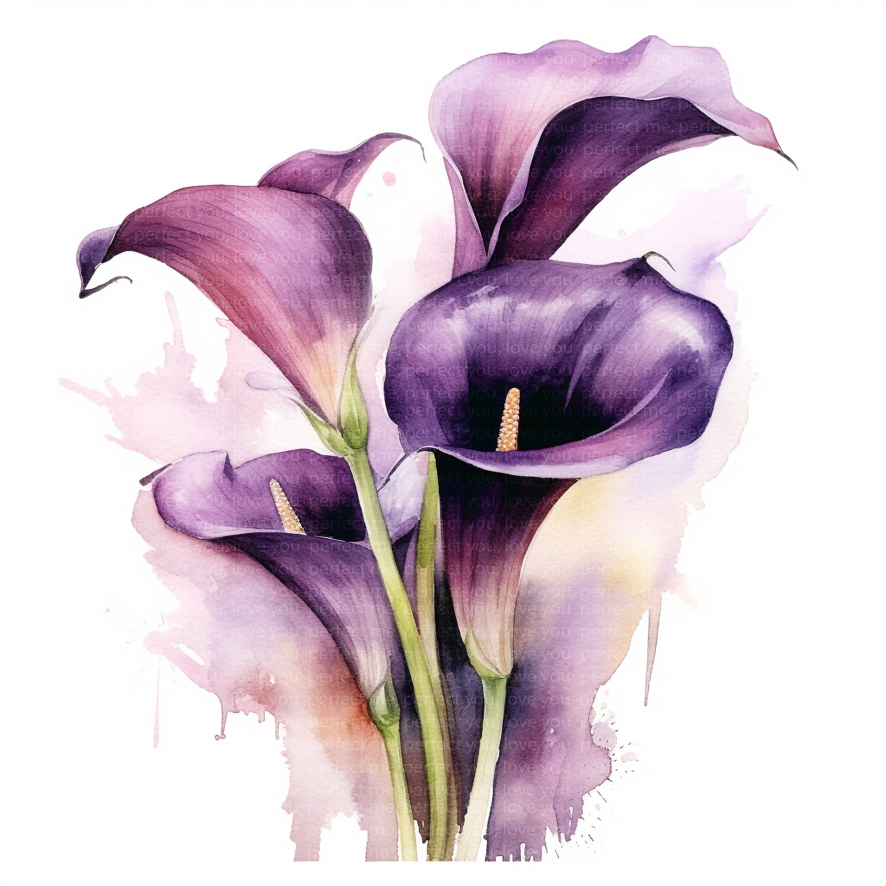 12 Purple Calla Lily Clipart, Calla Lily Bouquet, Flowers Clipart, High ...