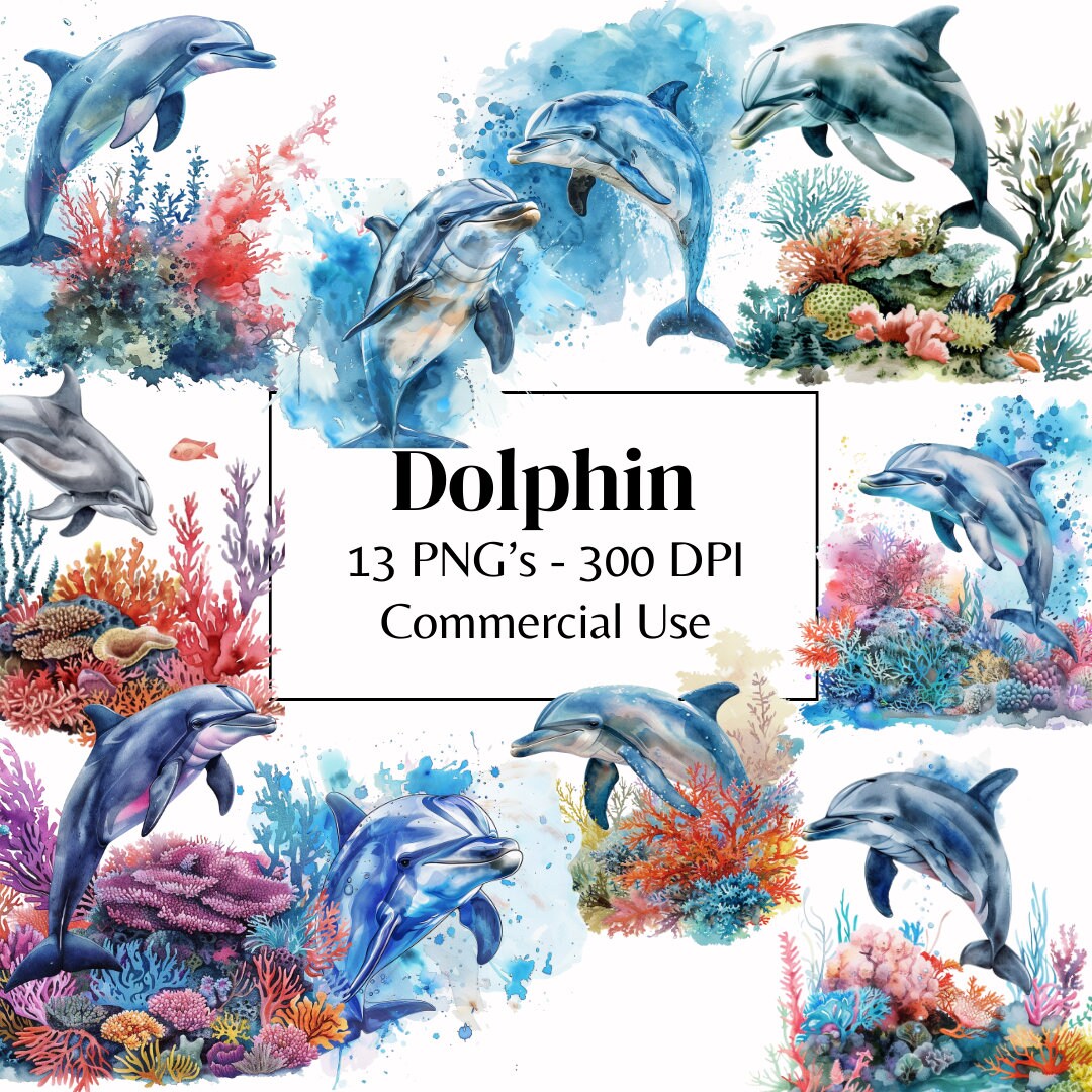 Dolphin Watercolor Clipart Dolphin Clipart Ocean Clipart Dolphin PNG ...
