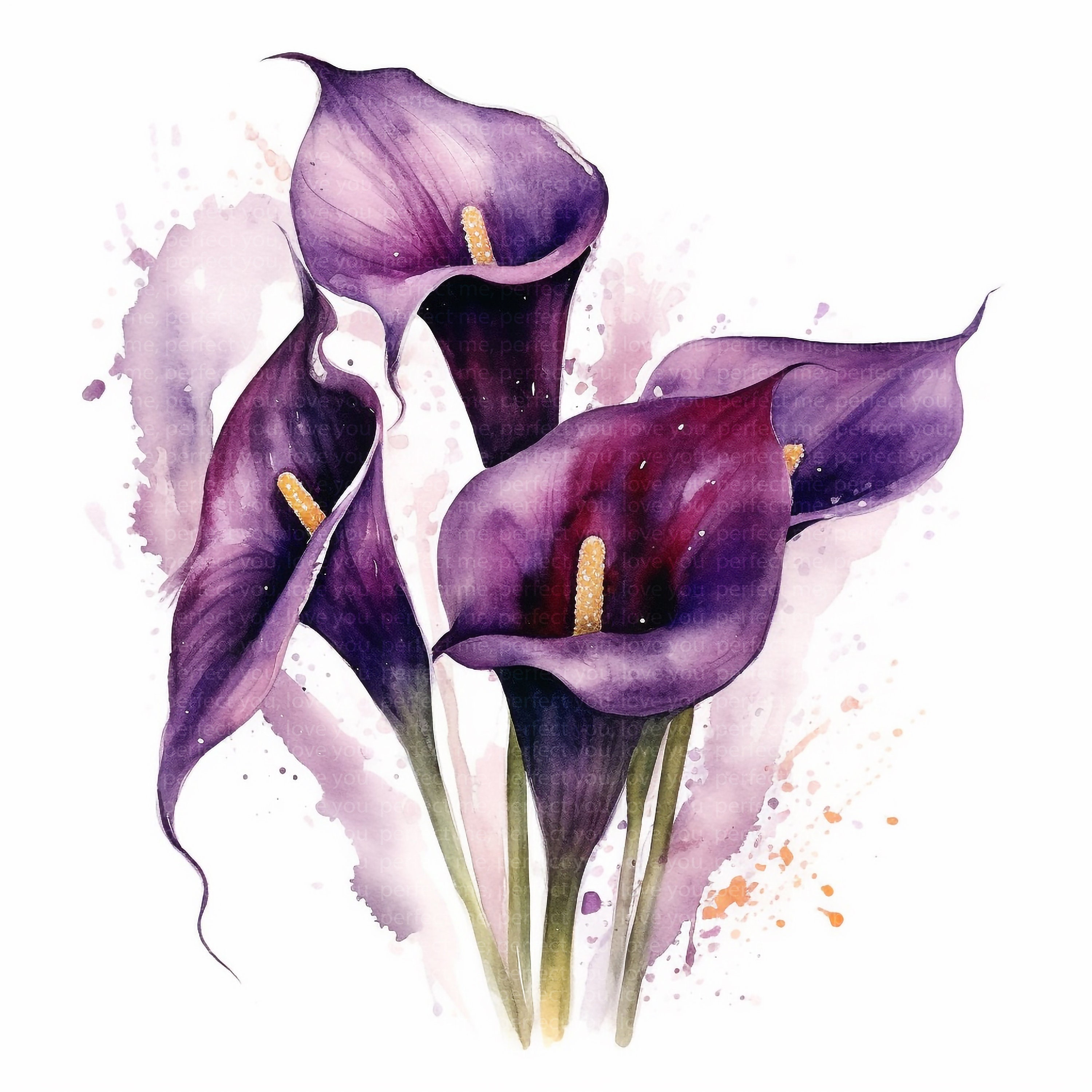 12 Purple Calla Lily Clipart, Calla Lily Bouquet, Flowers Clipart, High ...