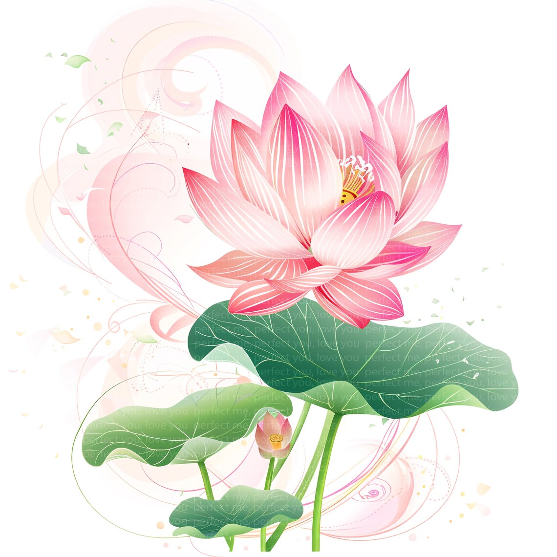 12 Lotus Clipart, Water Lily Clipart, Flowers Clipart, High Resolution ...