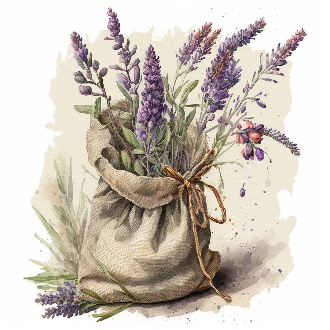 12 Lavender Clipart, Lavender Bouquet, Lavender Flowers Clipart, High ...