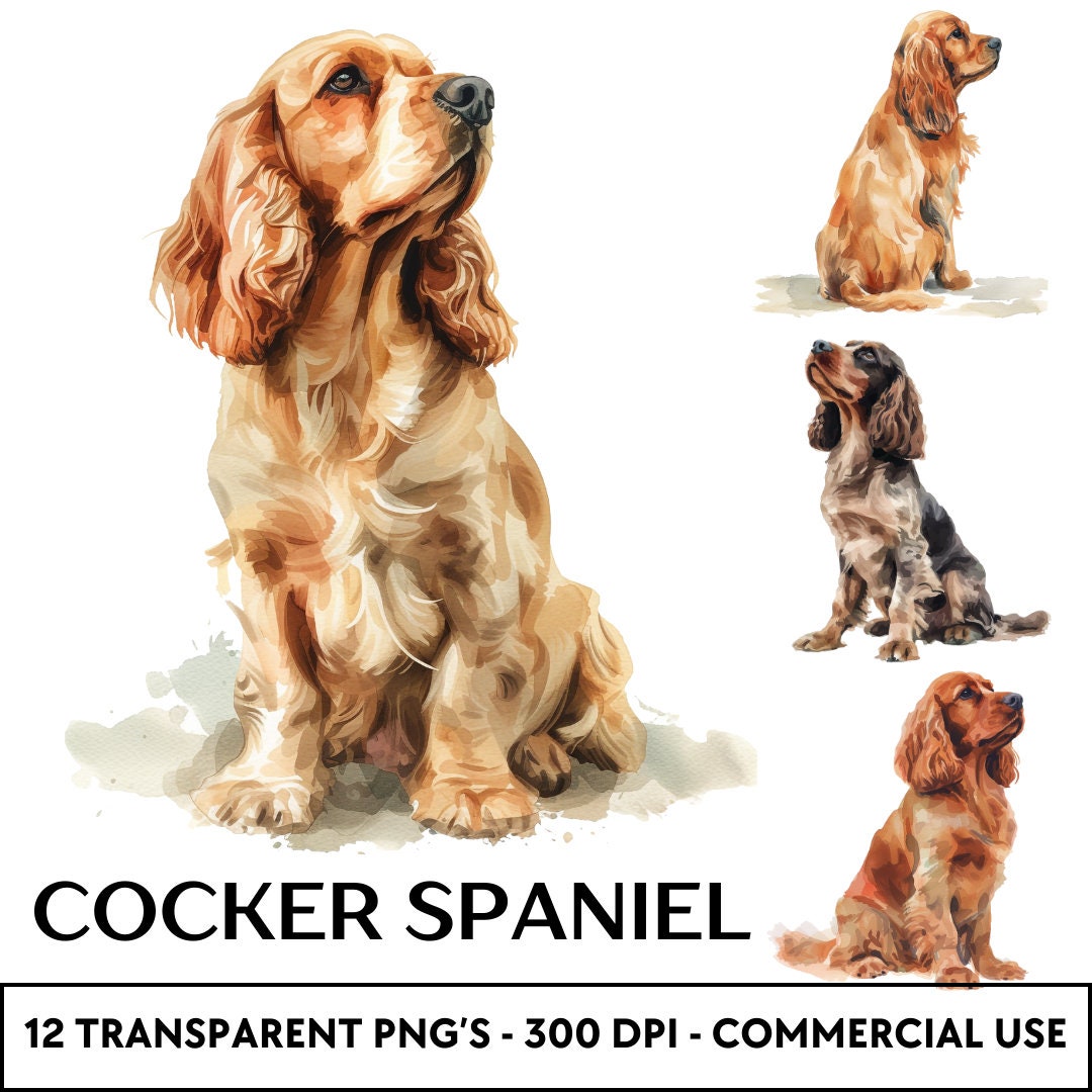 Cocker Spaniel Watercolor Clipart Cocker Spaniel Clipart Dogs Clipart ...