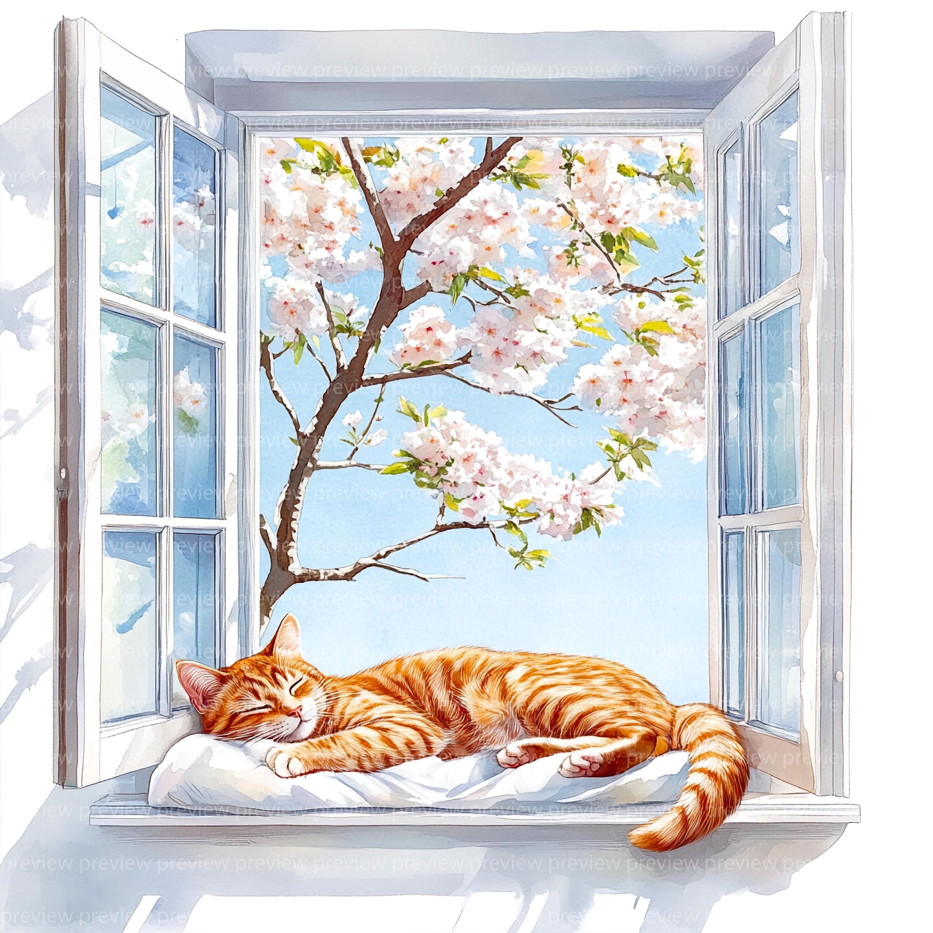 20 Spring Window Cat Clipart JPG | Kitten Window Scene Art | Watercolor ...