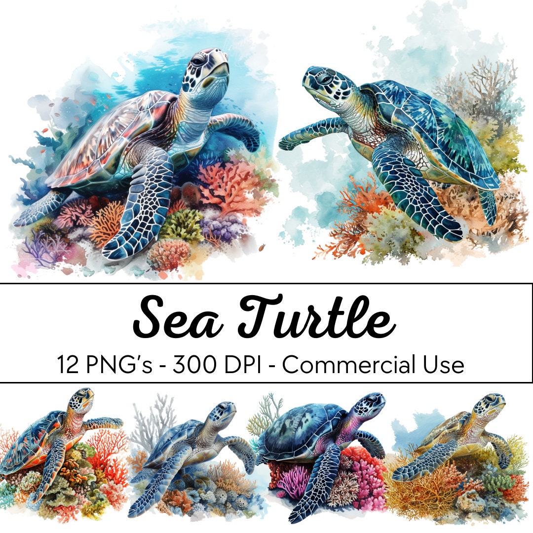 Sea Turtle Watercolor Clipart Sea Turtle Clipart Clipart Sea Turtle PNG ...