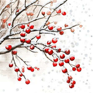 Watercolor Frozen Berries Clipart | 14 High Resolution Jpgs for Winter ...