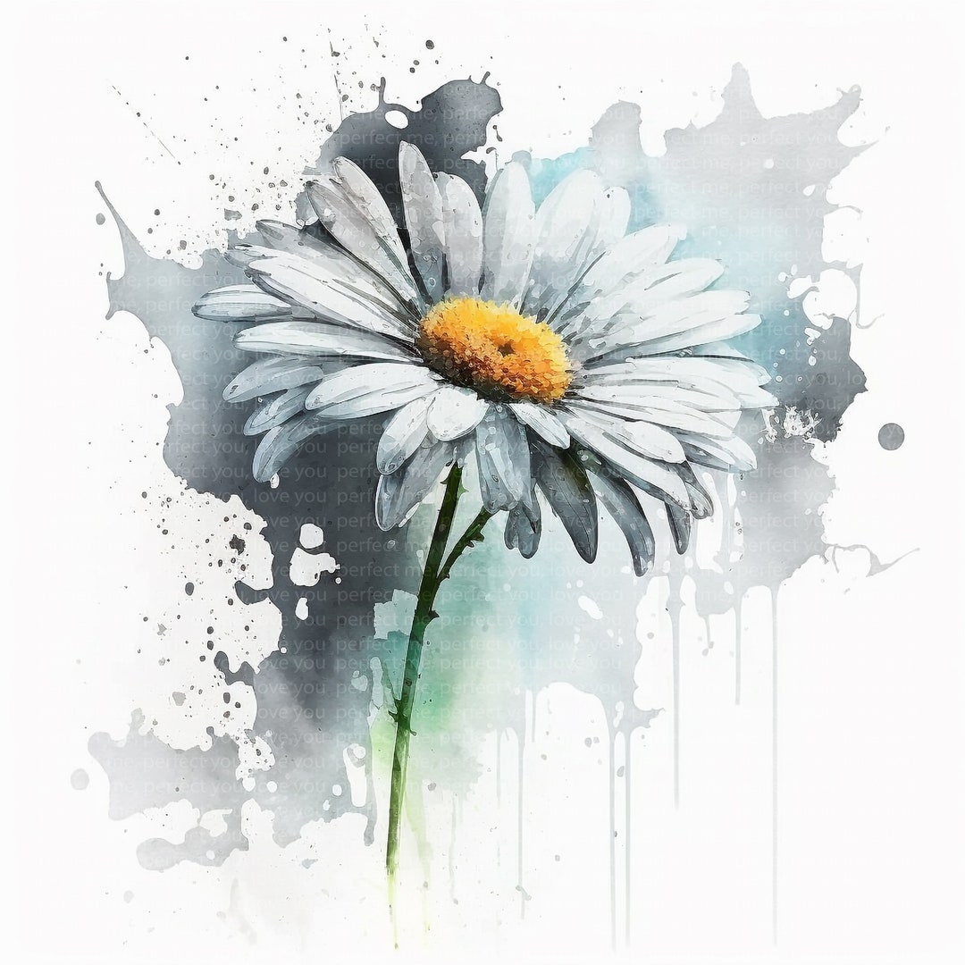 Watercolor Daisy Clipart 2, Daisy Flowers | 12 High Resolution Jpgs for ...