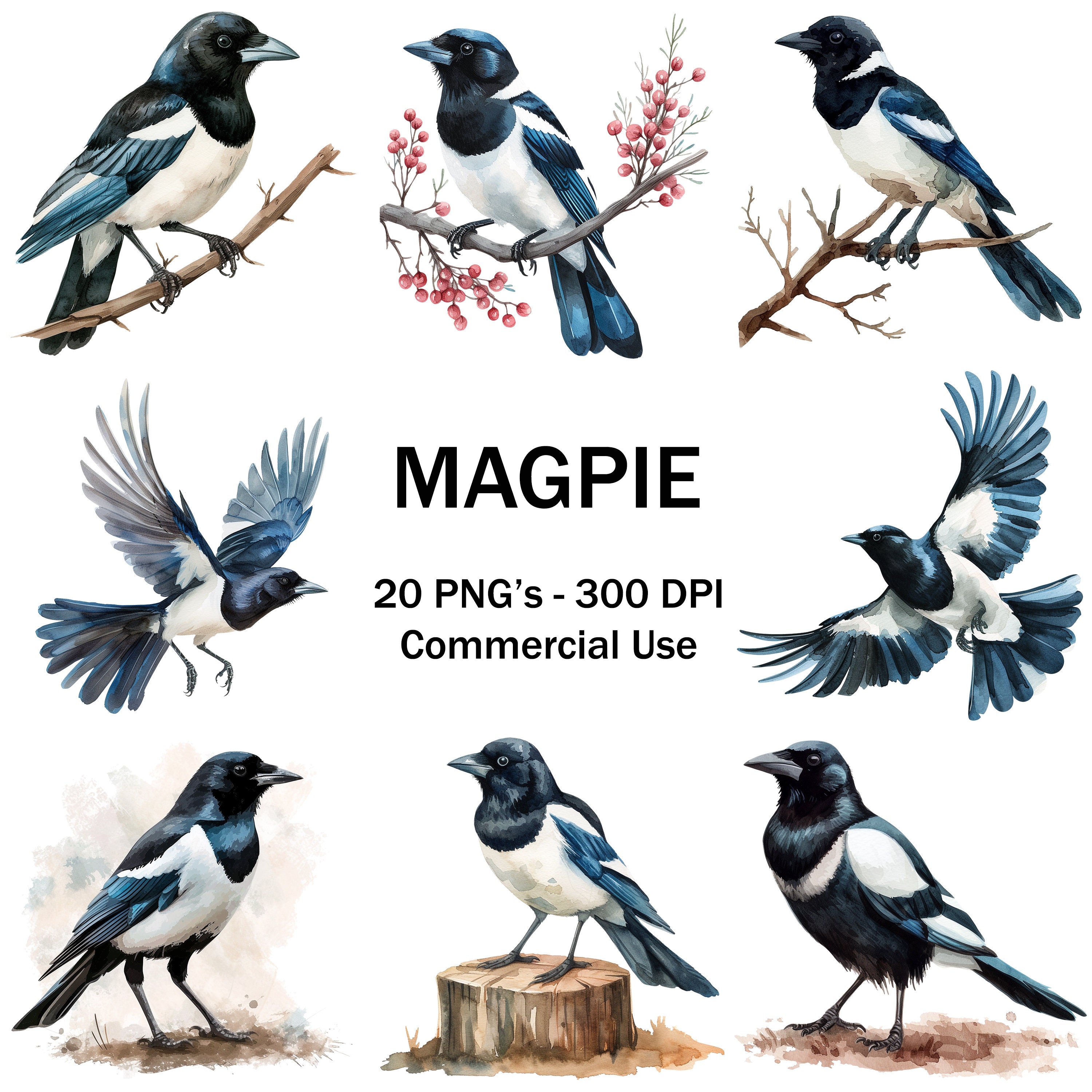 Magpie Watercolor Clipart Magpie Clipart Bird Clipart Magpie PNG 300 ...