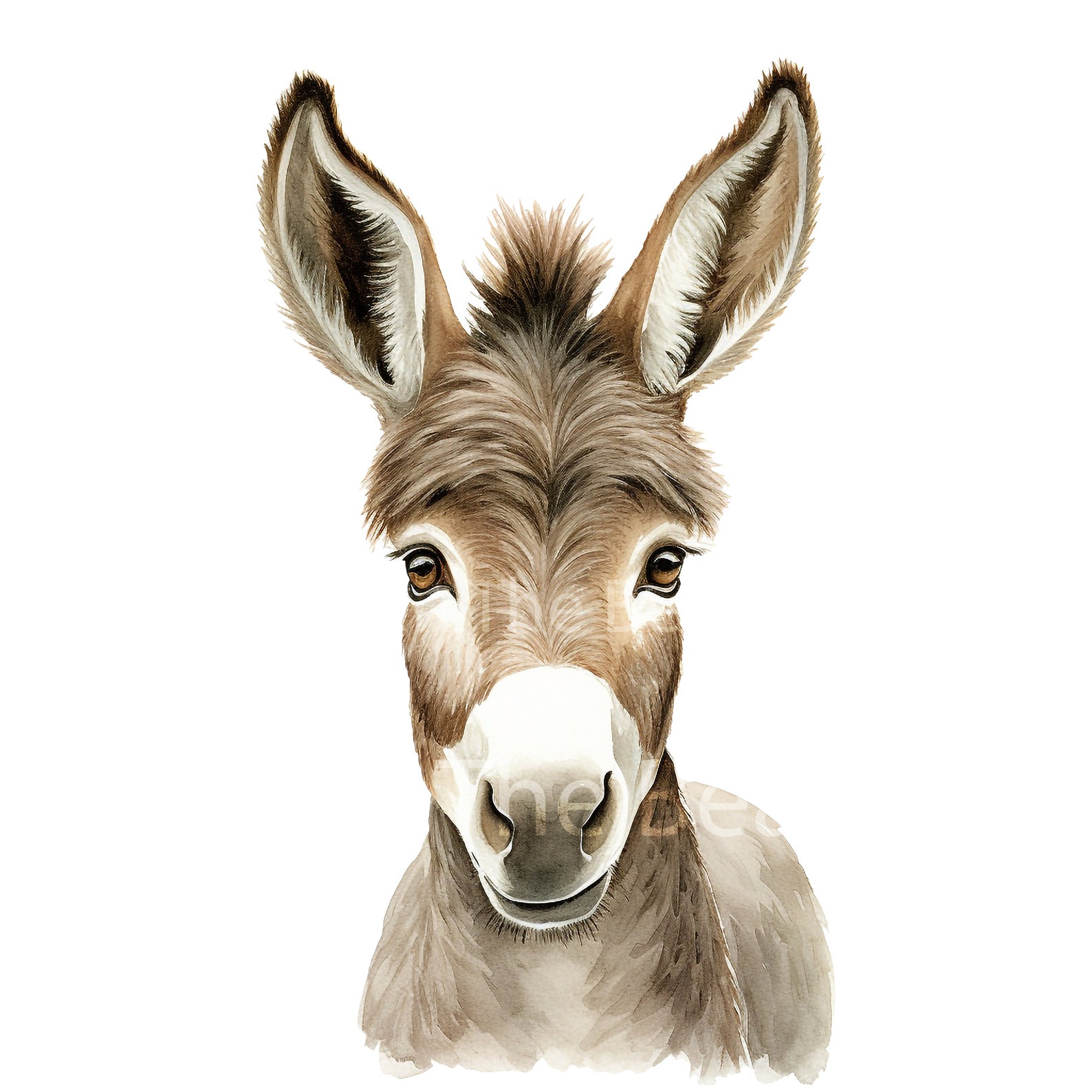 13 Donkey Clipart | Farm Animal Watercolor Art | Rustic Livestock ...