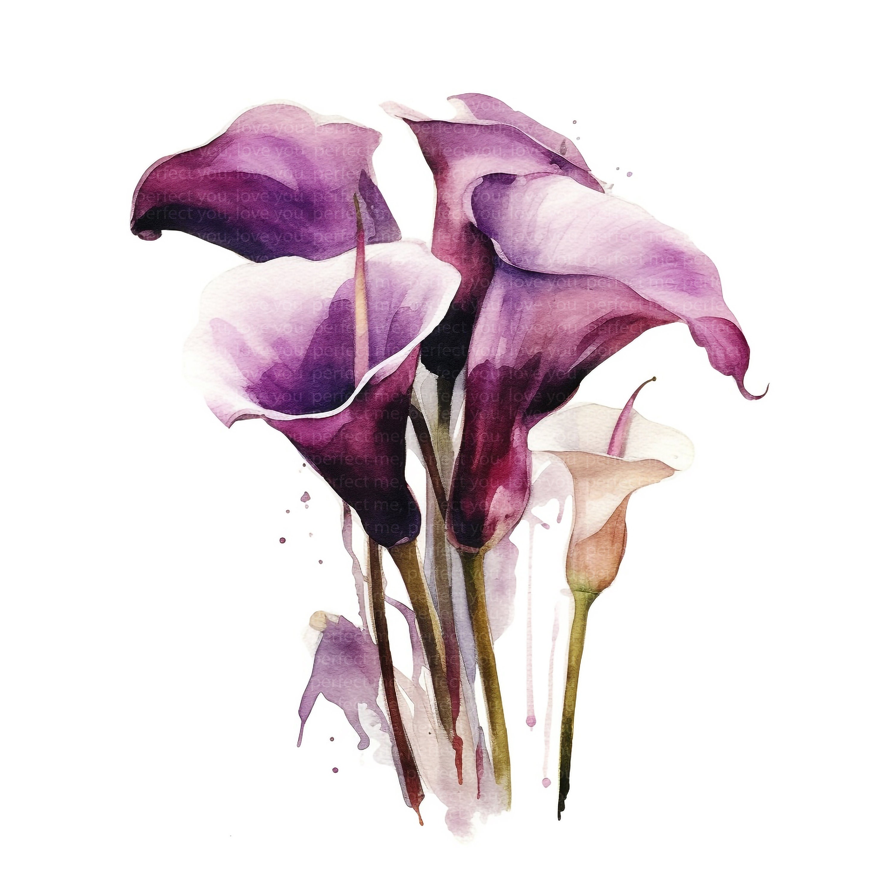 12 Purple Calla Lily Clipart, Calla Lily Bouquet, Flowers Clipart, High ...