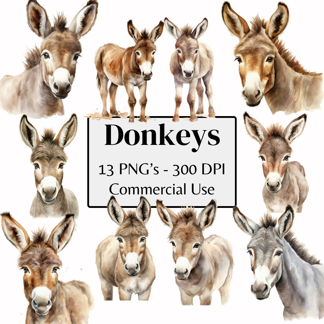 13 Donkey Clipart | Farm Animal Watercolor Art | Rustic Livestock ...